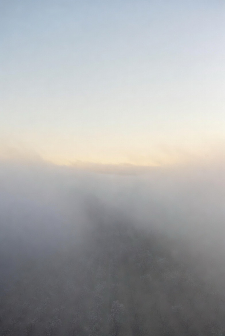 2025 Tule Fog Hits Central Valley: Causes & End - Doolly