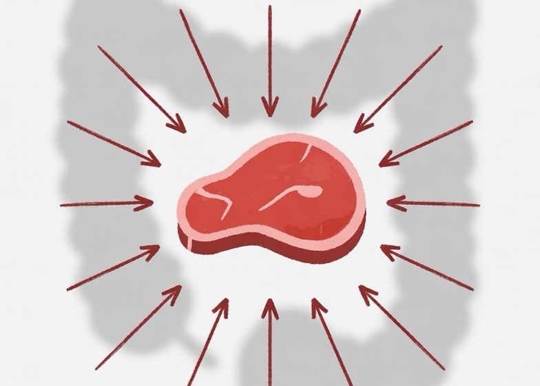 Red Meat Increases Colon Cancer Risk by 18% – What to Know - Doolly